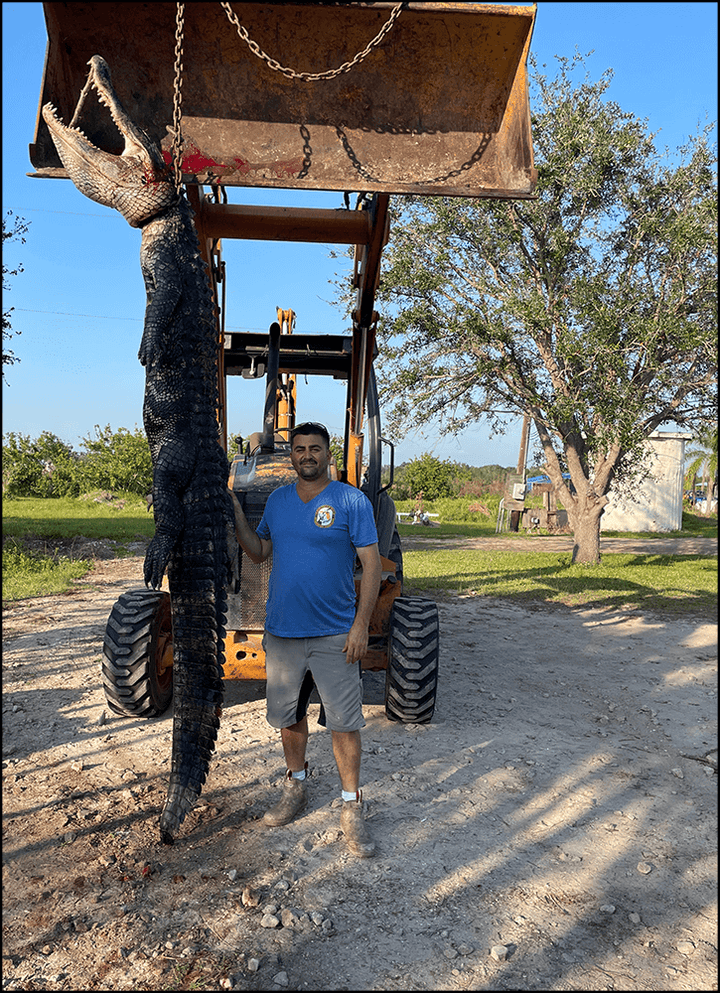 Fla Gator Hunts | Guided Alligator, Hog, and Iguana Hunts in FL