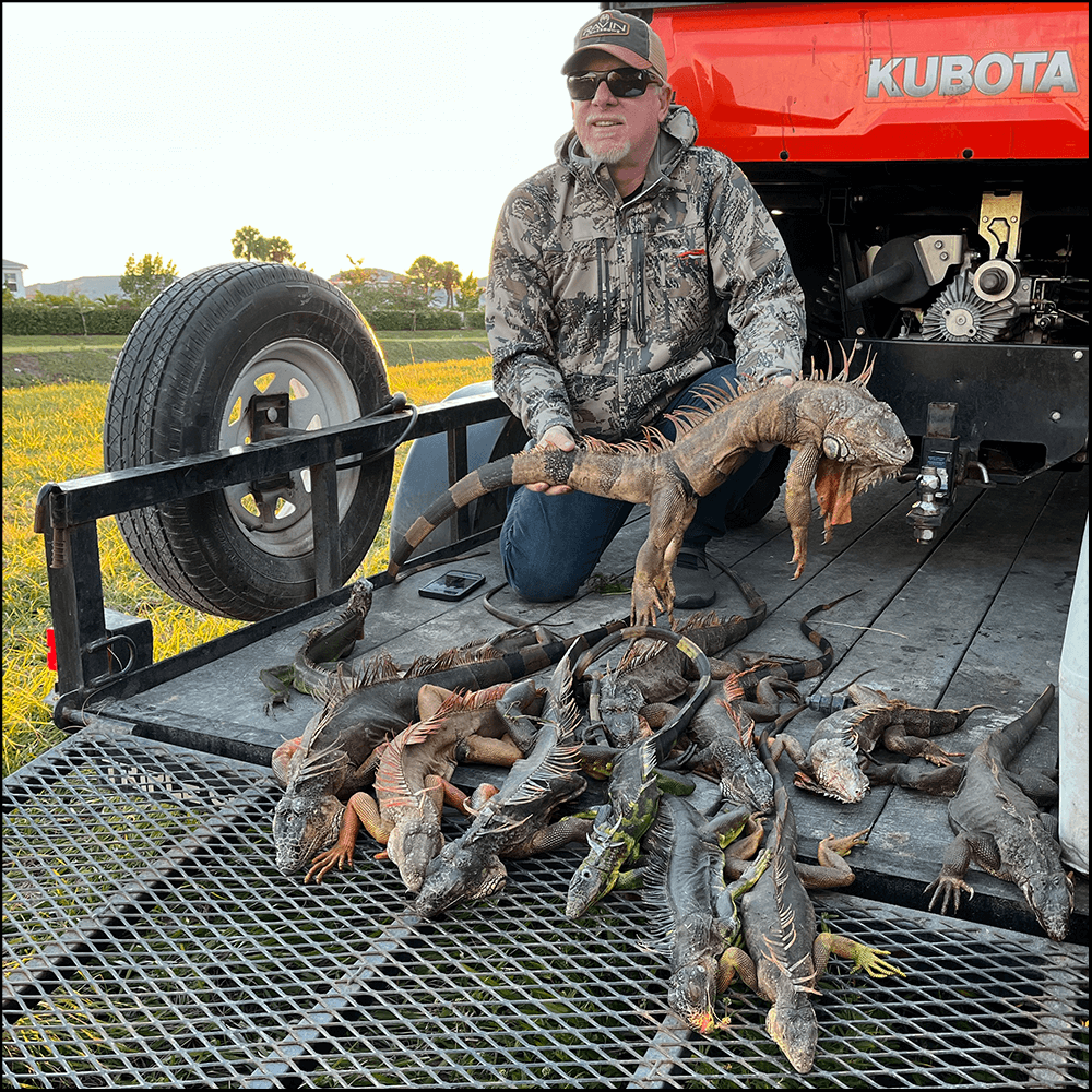 Fla Gator Hunts | Guided Alligator, Hog, and Iguana Hunts in FL